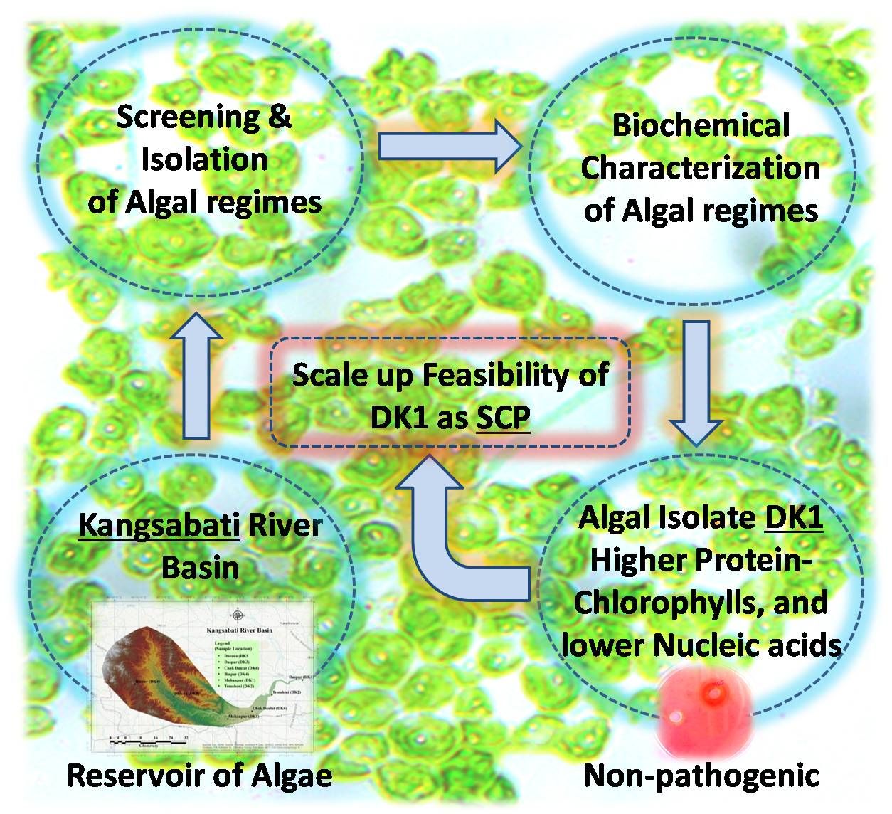 Journal of Applied Biology and Biotechnology