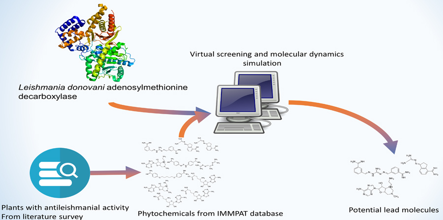 Molecular docking and simulation studies of medicinal plant ...