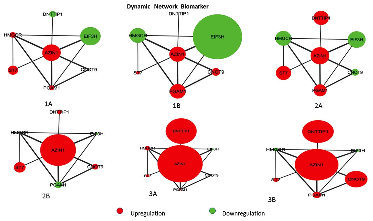 AZIN1-centric dynamic network biomarker of tipping point in non-small ...