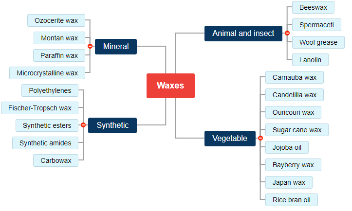 Biopolymer-based edible packaging: a critical review on the ...