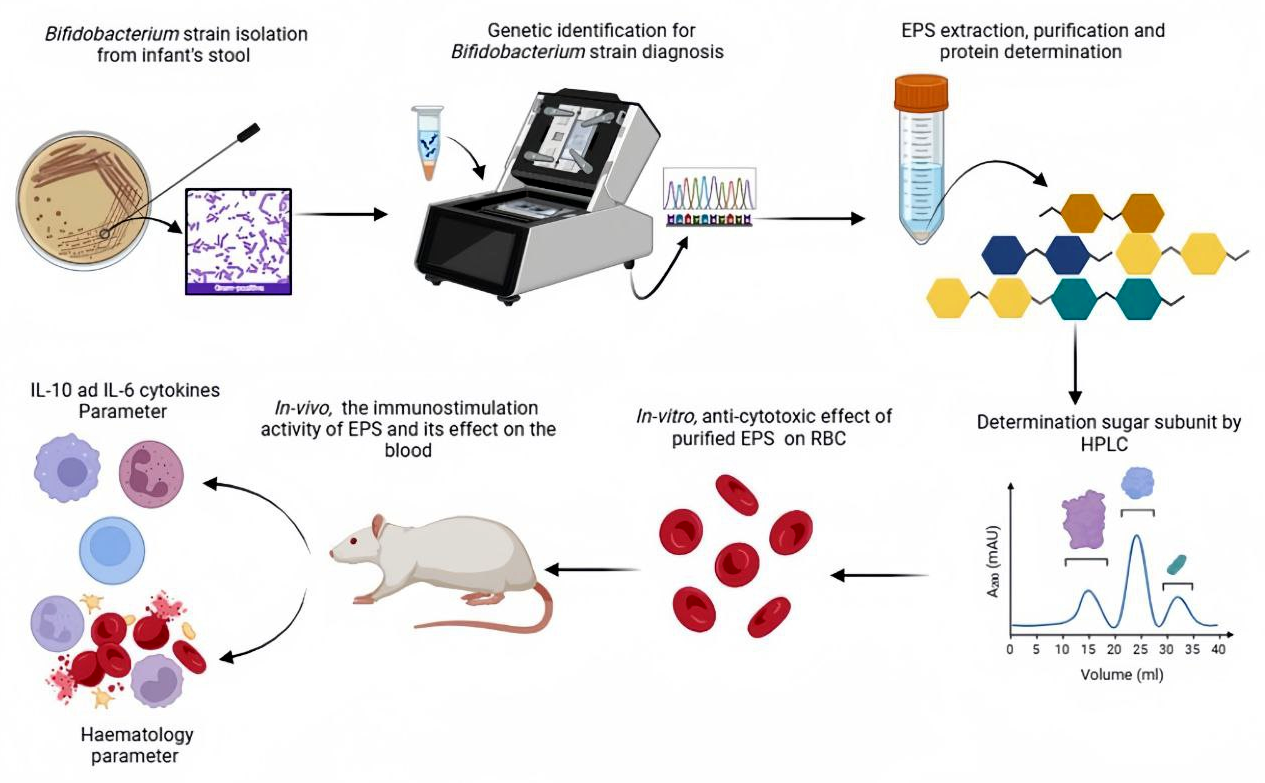 Immunomodulation capability and cytotoxicity activities of novel ...