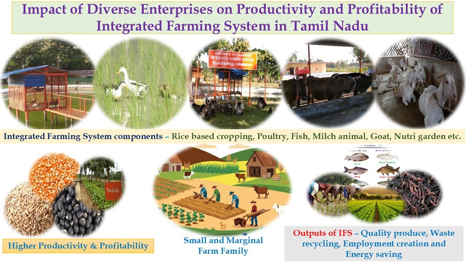 Impact of diverse enterprises on productivity, profitability ...